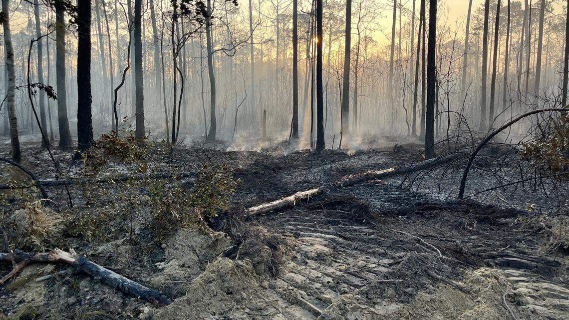 Fires in South MS burned 150 acres as residents evacuated | Biloxi Sun ...